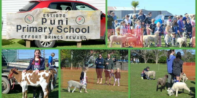 Franklin Life NZ – Local info from the Franklin District