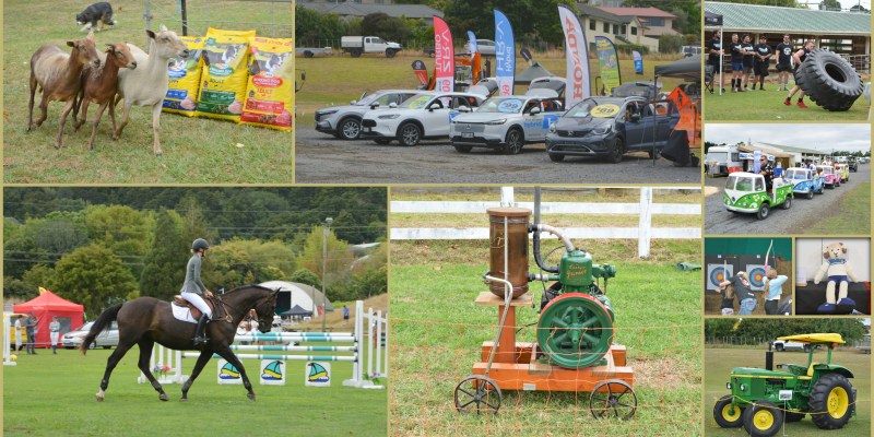 Franklin Life NZ – Local info from the Franklin District